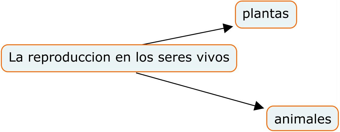 La reproduccion en los seres vivos: INTRODUCCION SOBRE LA REPRODUCCION ...