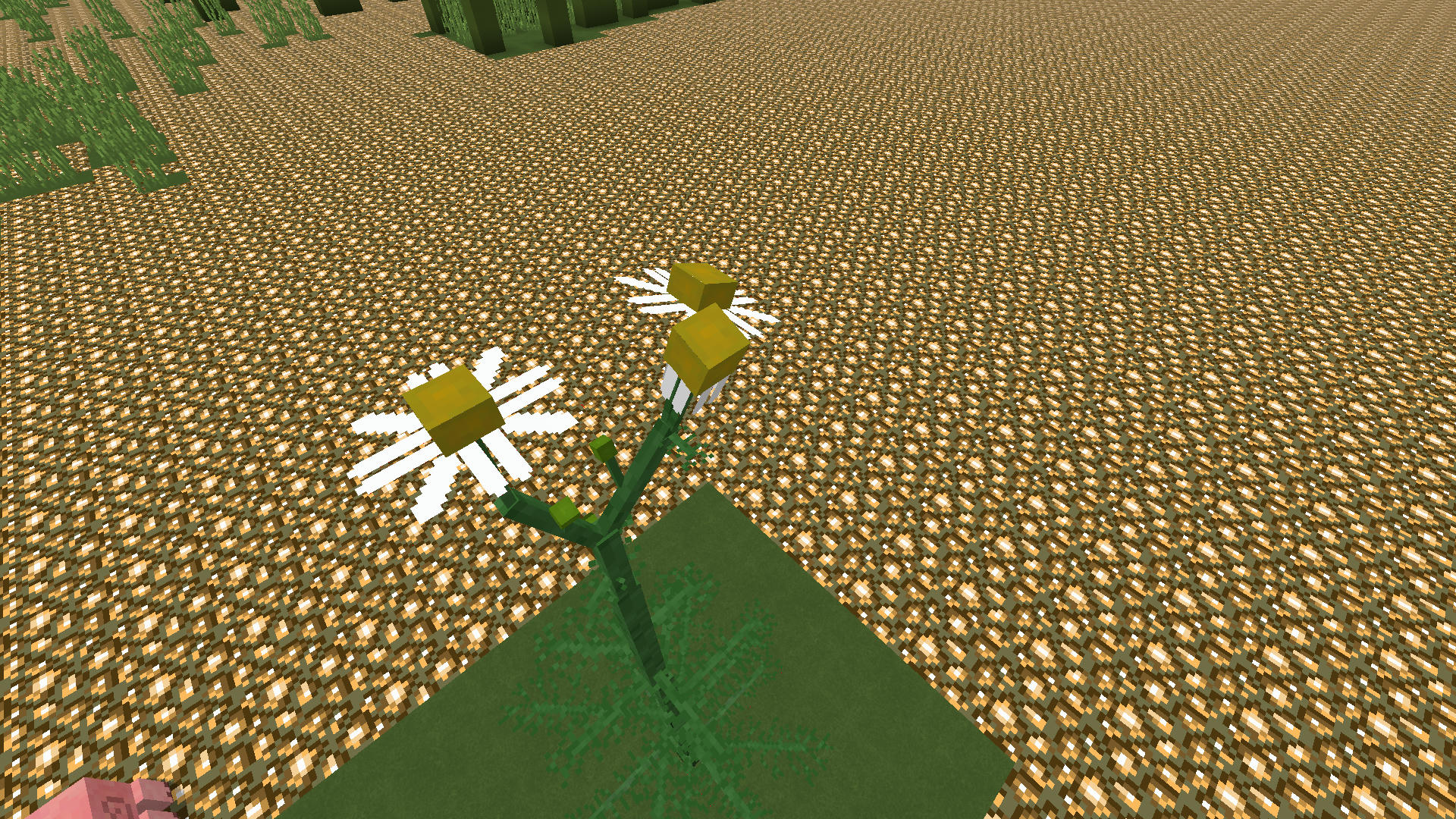 German Chamomile (scaled up) [made in Model Creator] - Creative Mode ...