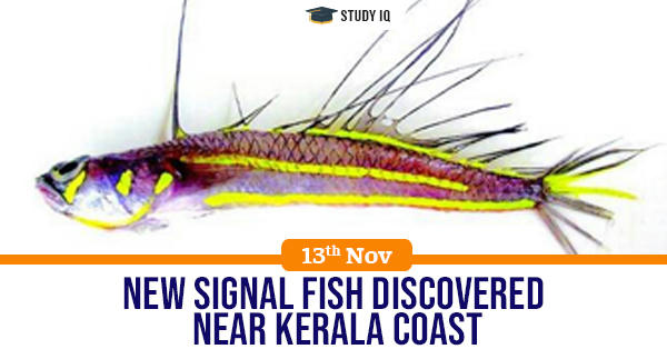 GK Topic, New signal fish discovered near Kerala coast