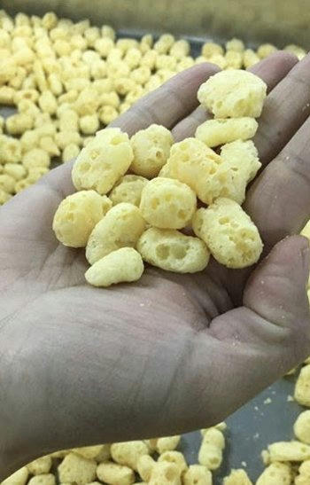 ProChile destaca a empresaria de Los Ríos que exporta sus snacks de ...