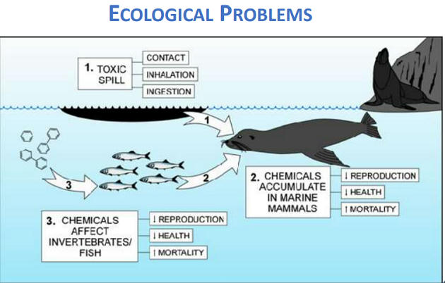 Russian Arctic oil spill impact on Environment – Burning Issues – Free ...