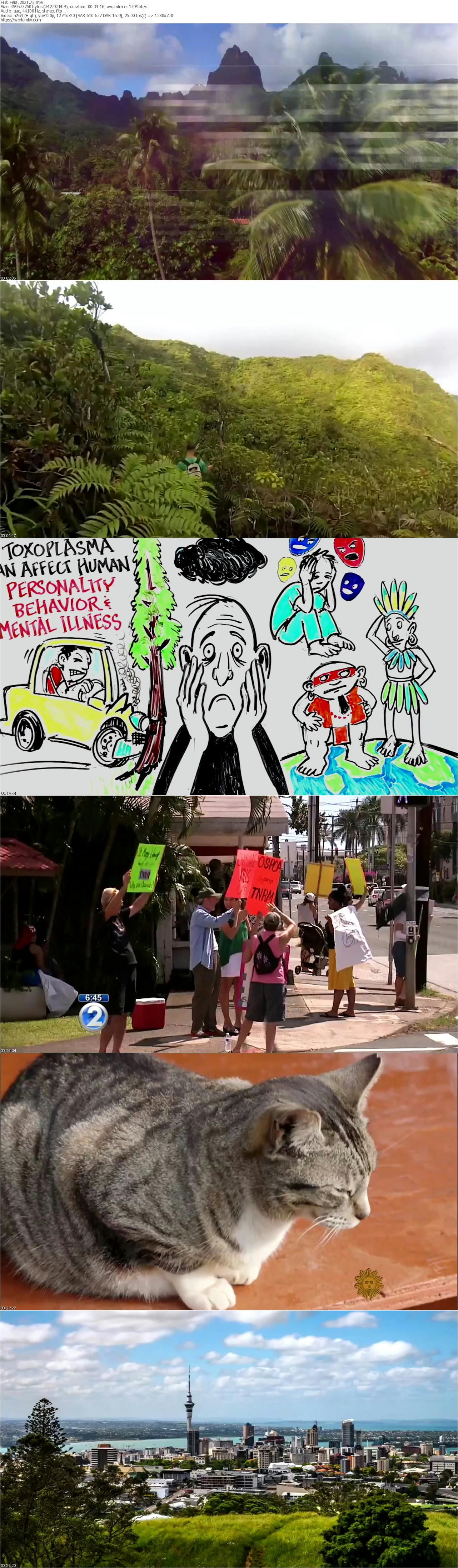 Download Feral.2021.720p.WEB-DL.x264-worldmkv Torrent | 1337x