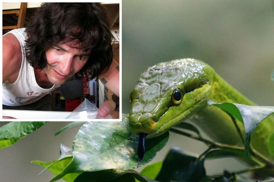 Steve Ludwin, el hombre que se inyecta veneno de serpiente