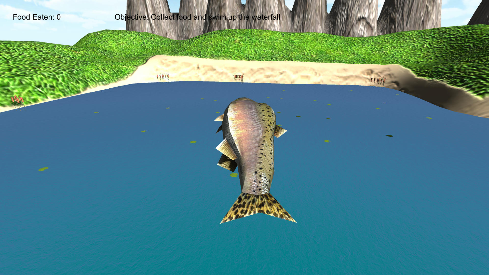 Salmon Simulator Demo Update 1 Has Arrived news - IndieDB