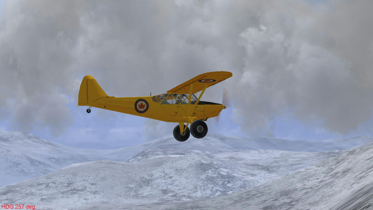 Tundra Tires for CUP Piper PA-18B