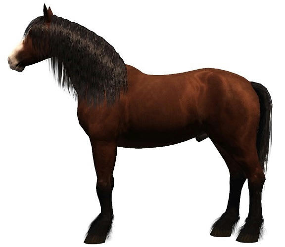 Equus CC-Database: Medieval Horses - Rouncy