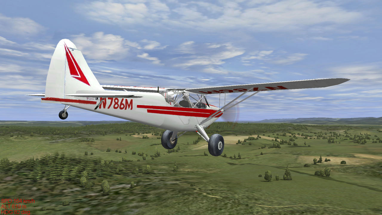 Tundra Tires for CUP Piper PA-18B