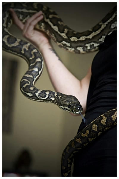 Steve Ludwin, el hombre que se inyecta veneno de serpiente