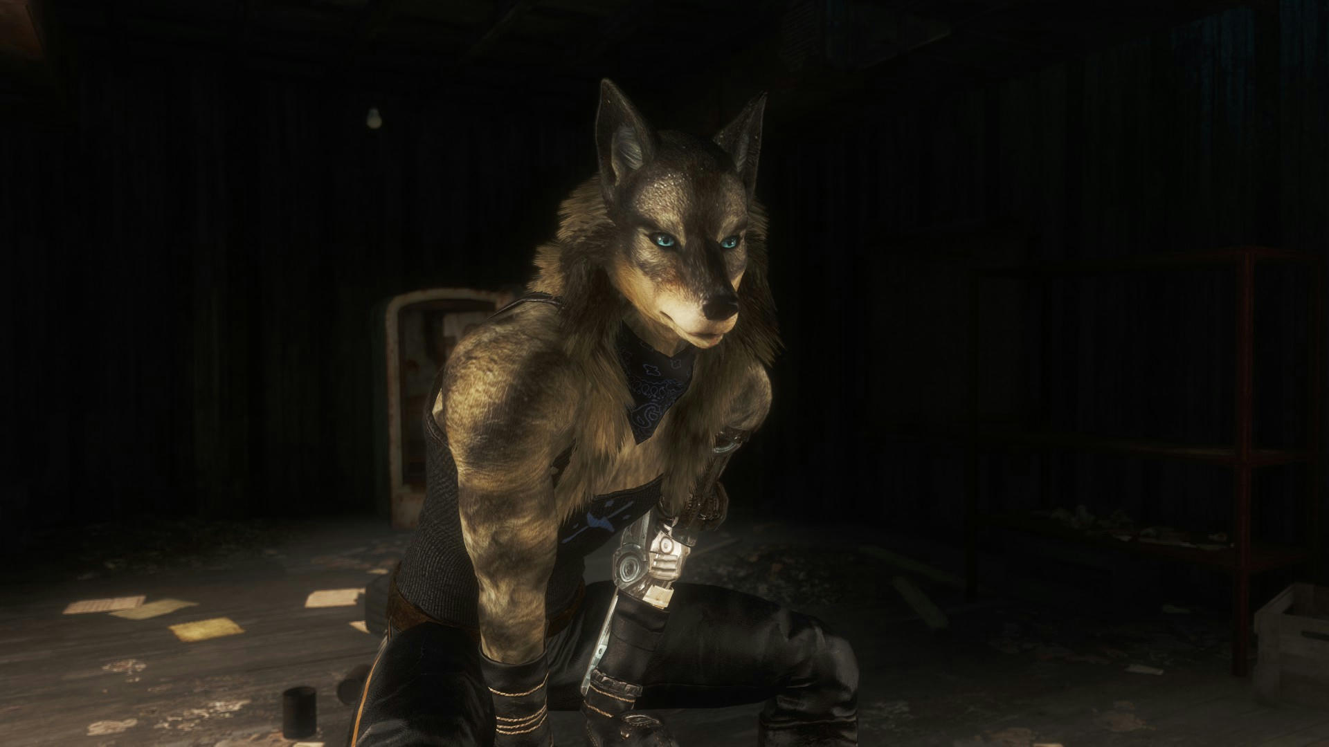 Vulpine Race at Fallout 4 Nexus - Mods and community